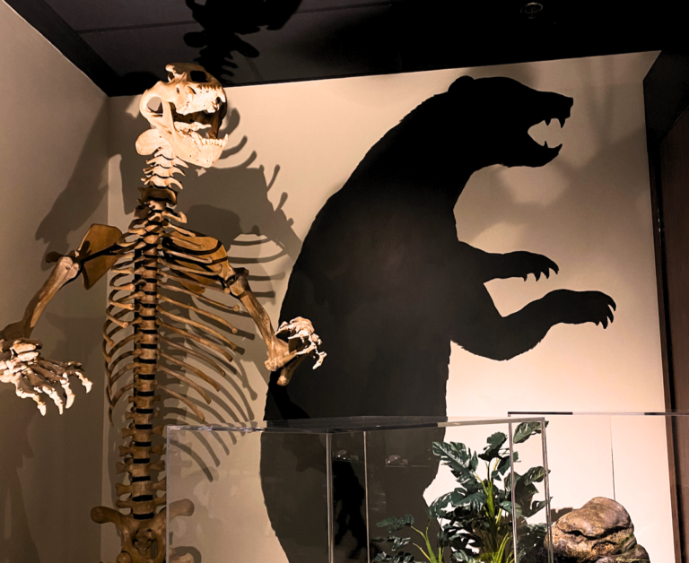 Family Spring Break Vacation Spots in Georgia’s Lake Country - Georgia ...